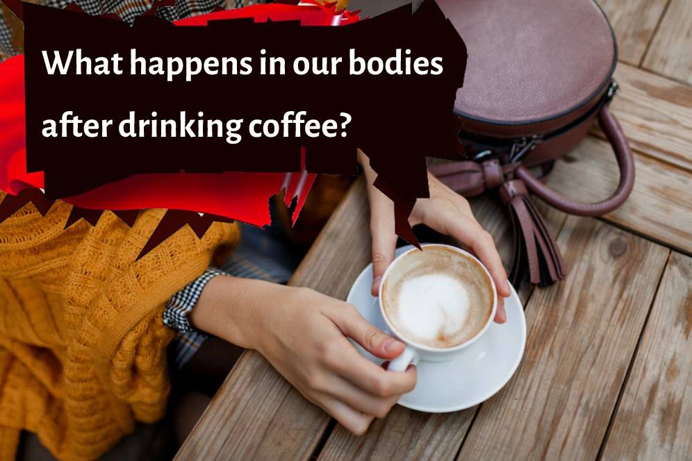 What Happens In Our Bodies After Drinking Coffee? [10 Mminutes To 6 ...