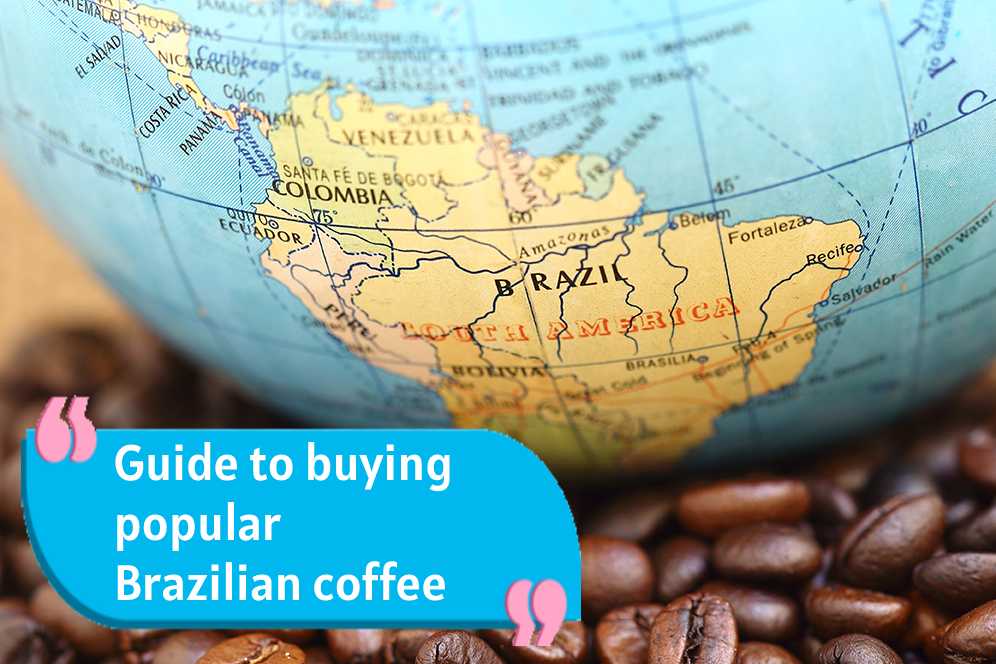 Guide To Buying Popular Brazilian Coffee (History & Brewing Tips)