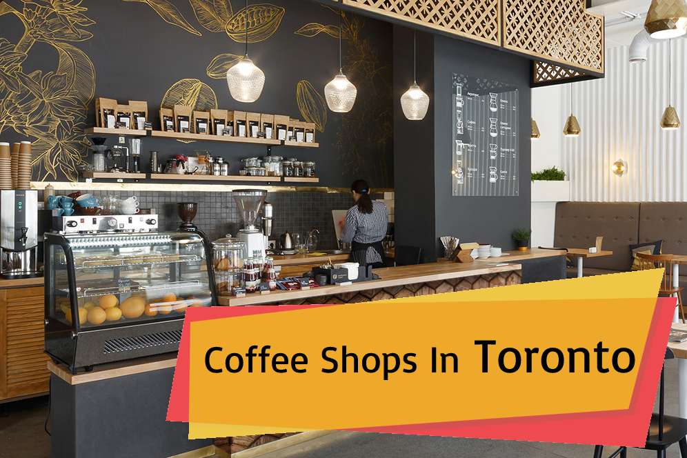 Navigating Toronto's Coffee Culture at Its Finest Cafes
