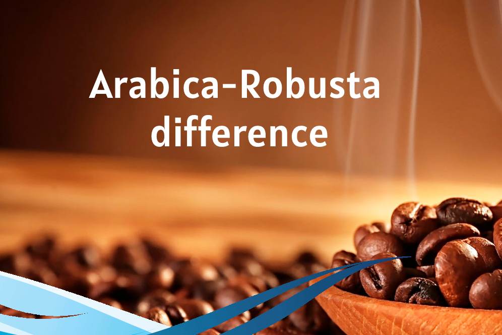 Discovering the Unique Characteristics of Arabica vs. Robusta