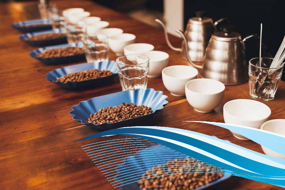 Guide To Coffee Cupping At Home - Sensory Perception And Evaluation Of ...