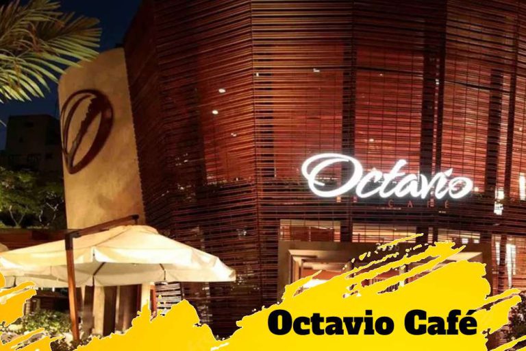 Top 10 Cafes And Coffee Shops In Sao Paulo, Brazil + Google Map (2024)