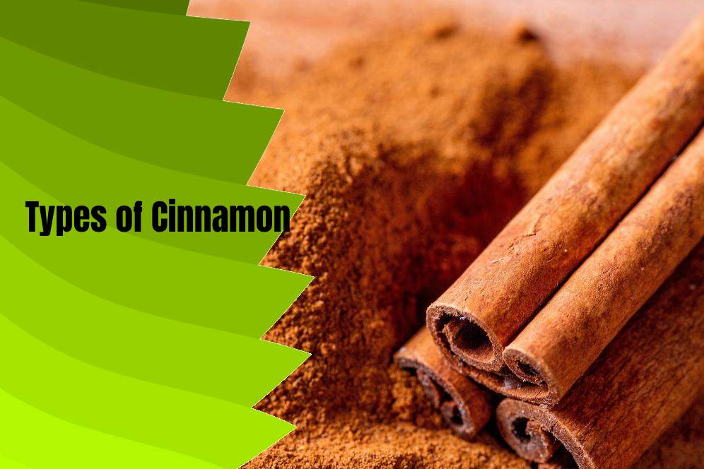Homemade Cinnamon Coffee Recipe