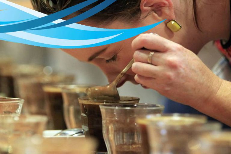 Guide To Coffee Cupping At Home - Sensory Perception And Evaluation Of ...