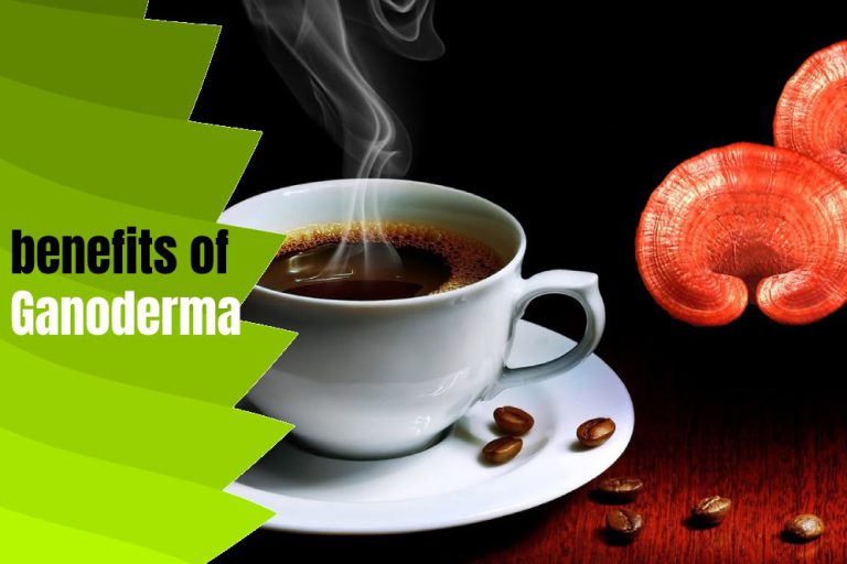 Scientific Knowledge Of Ganoderma Mushroom Coffee - Pros And Cons