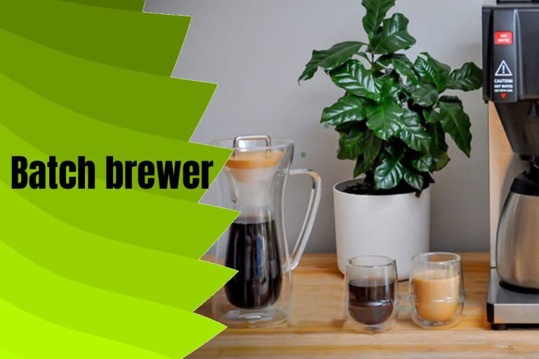How to Make Batch Brew Filter Coffee in 2024 - typescoffee