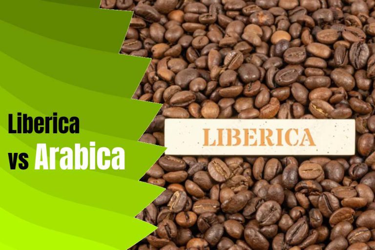 Liberica Coffee - Benefits, Features, Taste And Types Of Brands Of This ...