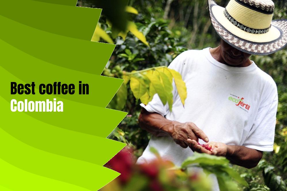Coffee In Colombia: Embarking on a Flavorful Expedition through Coffee ...