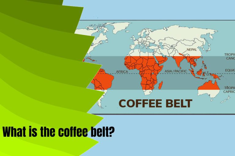 What Is The Coffee Belt And Where Is It Located?