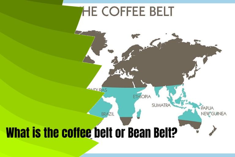 What Is The Coffee Belt And Where Is It Located?