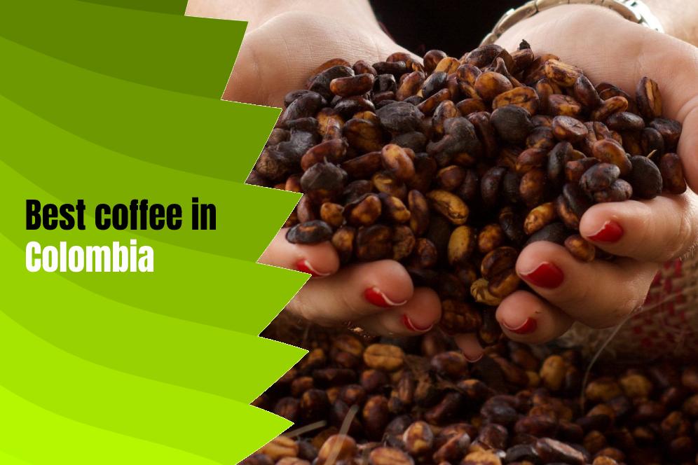 Coffee In Colombia: Embarking on a Flavorful Expedition through Coffee ...
