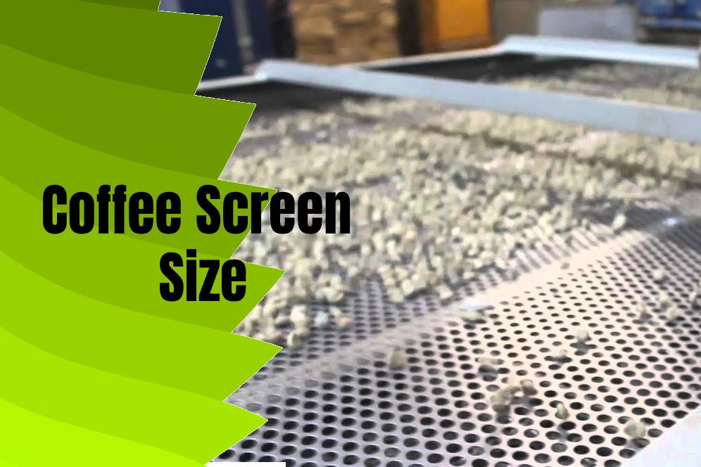 Coffee Screen Size; What Does Coffee Bean Size Mean? - typescoffee