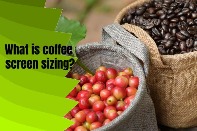 Coffee Screen Size; What Does Coffee Bean Size Mean? - typescoffee