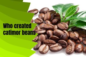 Catimor Coffee Beans - History, Properties, Taste And Brewing Method