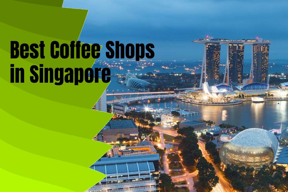 Navigating the Best Cafes and Coffee Shops in the Singapore - typescoffee