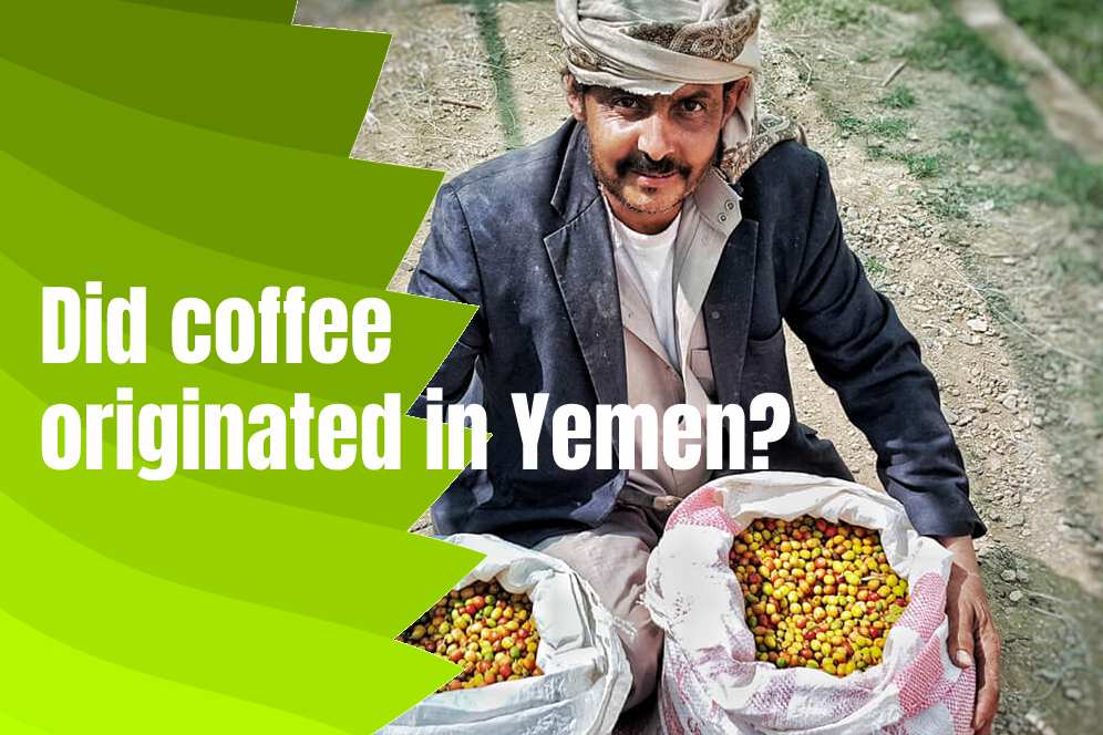 History Of Coffee In Yemen, Taste, Origin, Brewing Method - typescoffee