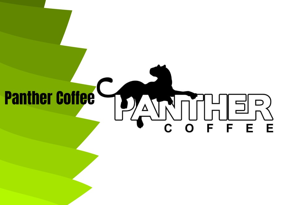 Premium Coffee - List Of 10 Reputable Brands 2024 - typescoffee