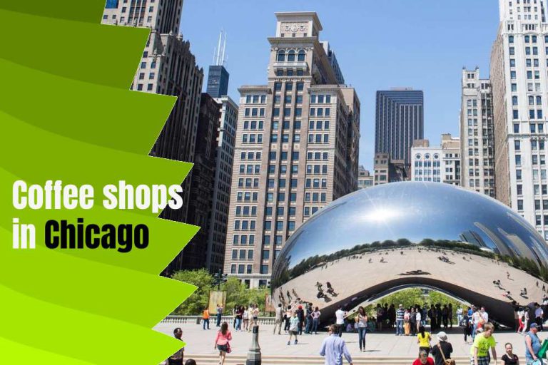 Exploring Chicago's Finest Cafes and Coffee Shops