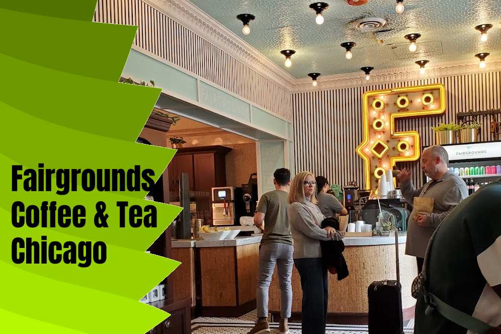 Exploring Chicago's Finest Cafes and Coffee Shops