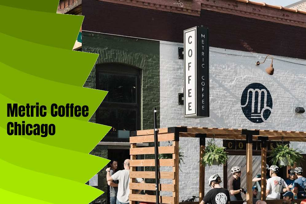 Exploring Chicago's Finest Cafes and Coffee Shops