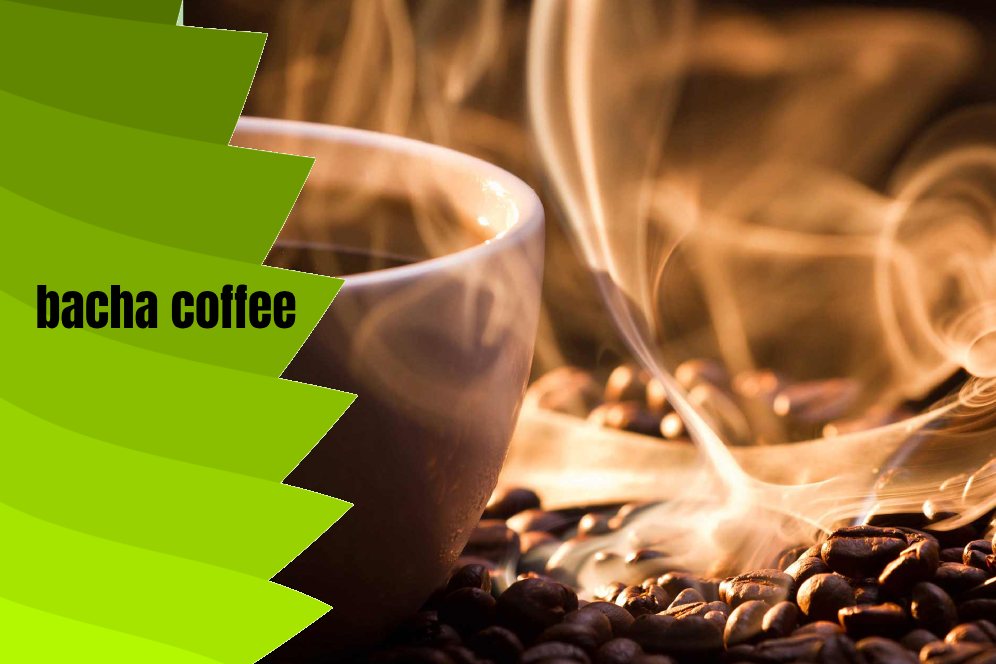 Bacha Coffee: Your Daily Cup of Luxury