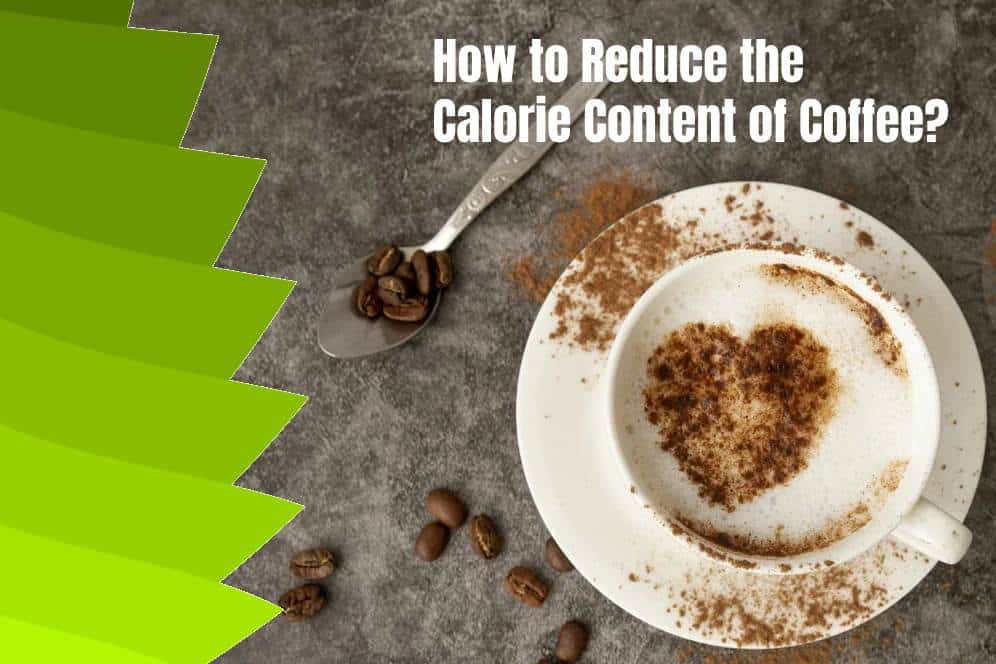 healthy Iced Coffee Recipe (Fat & Sugar Free)