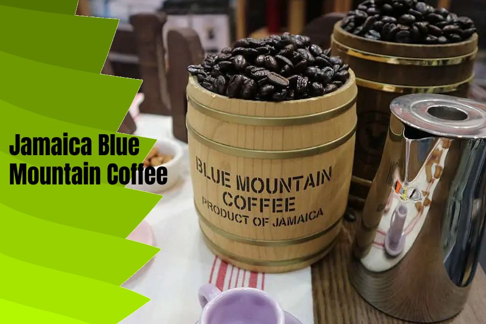 What is The Most Expensive Coffee Bean? - typescoffee