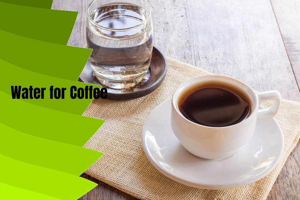 Different Ways Of Serving Coffee - typescoffee